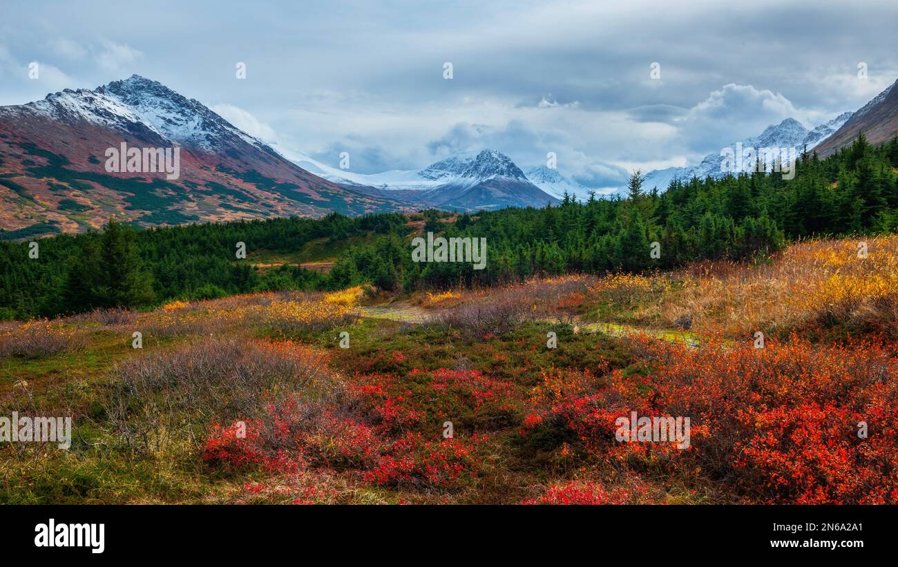 autumn in Alaska Stock Photo - Alamy