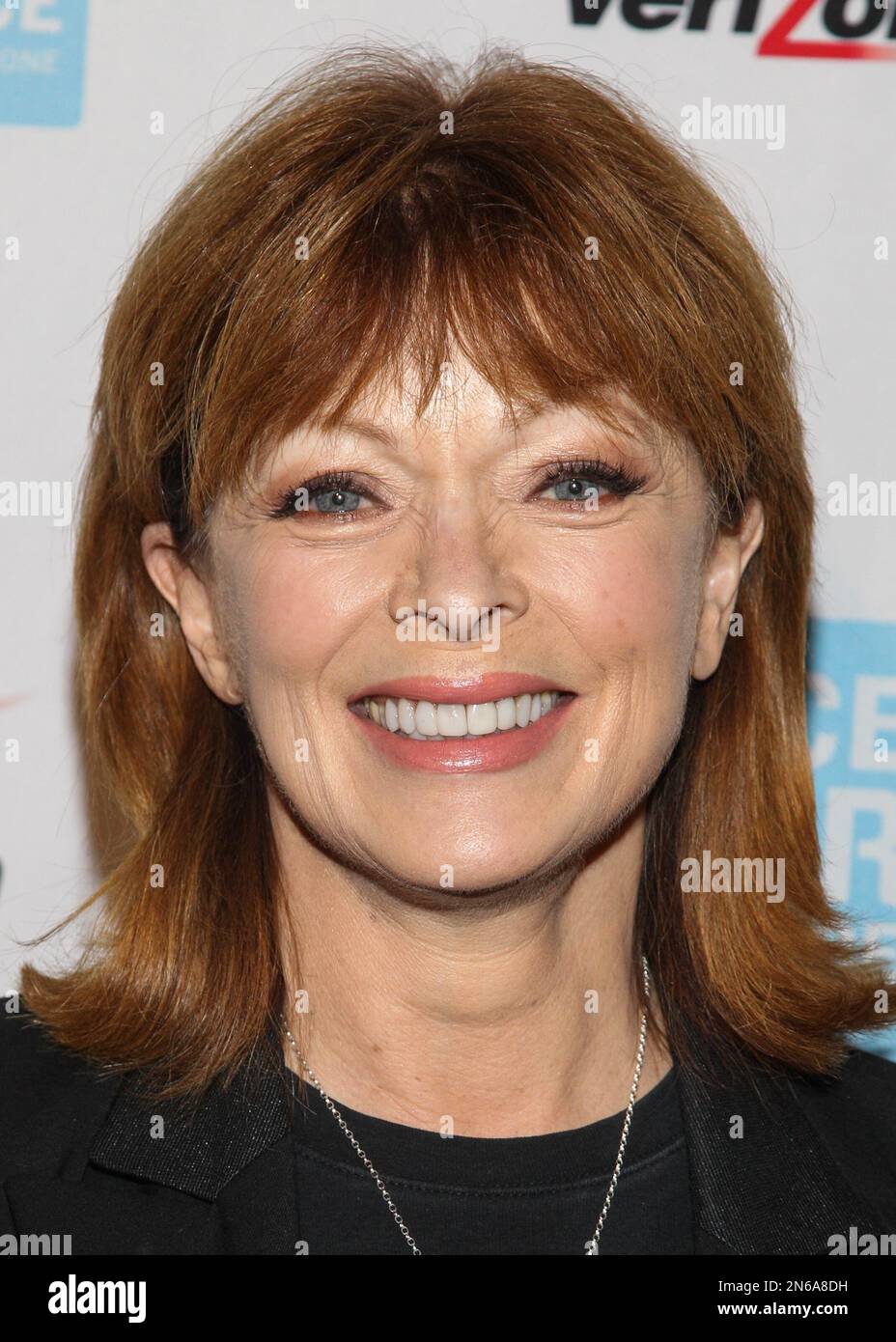 Actress Frances Fisher arrives at the 42nd Annual Humanitarian Awards ...
