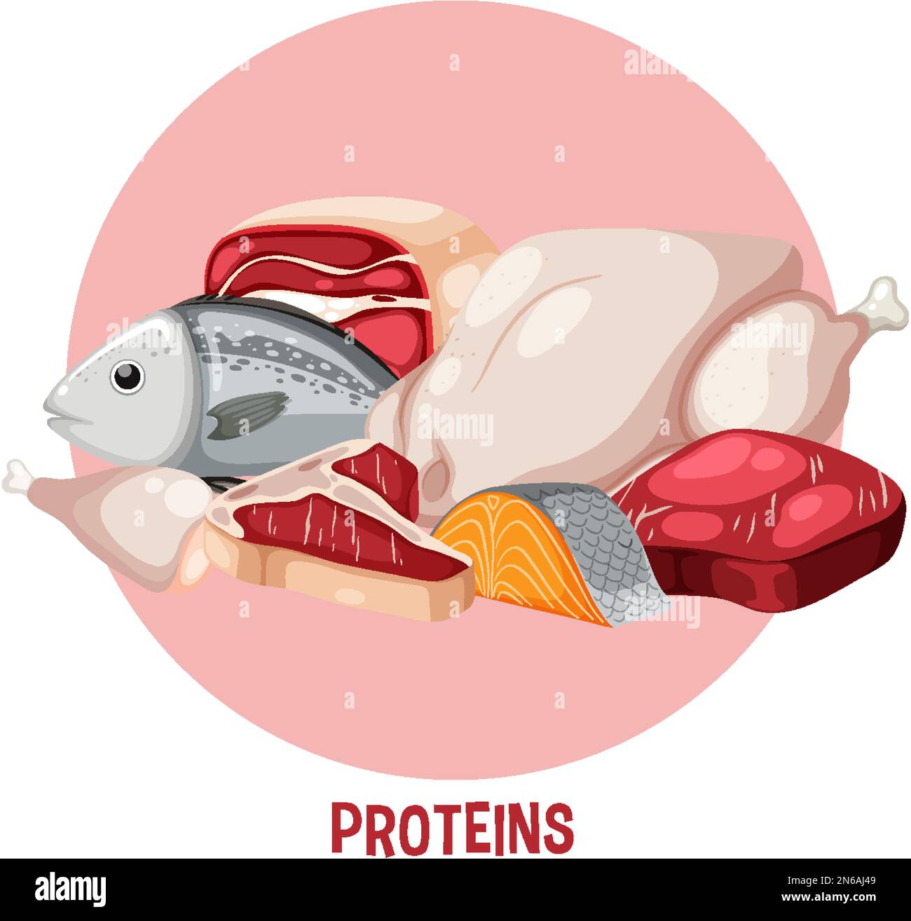 Variety of protein meats with text illustration Stock Vector Image ...
