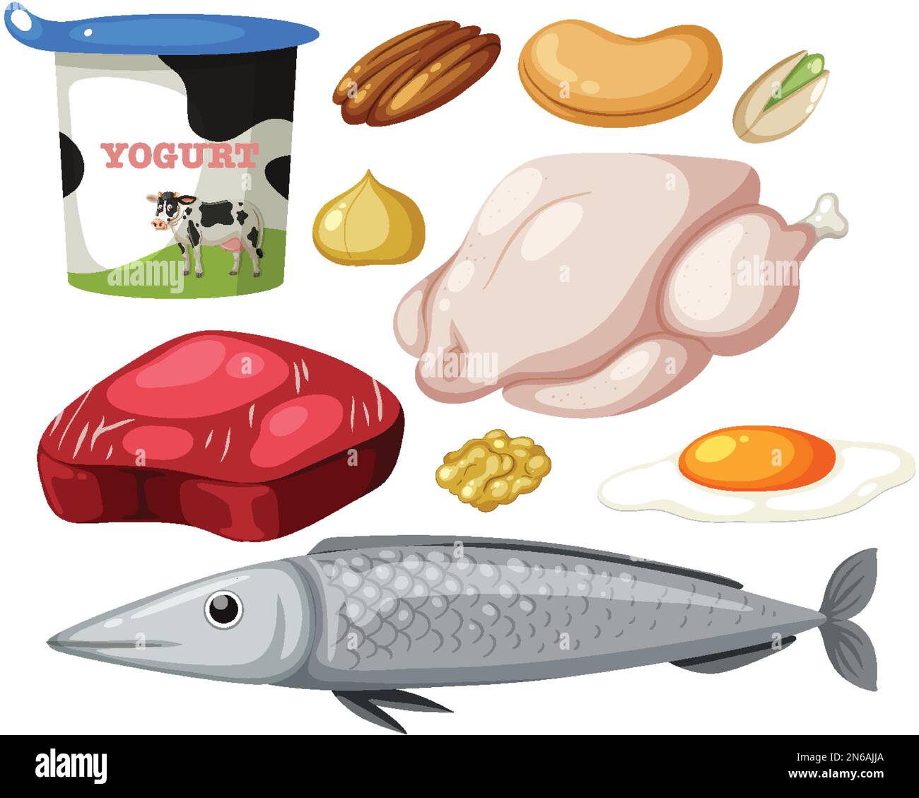 Protein foods group on white background illustration Stock Vector Image ...