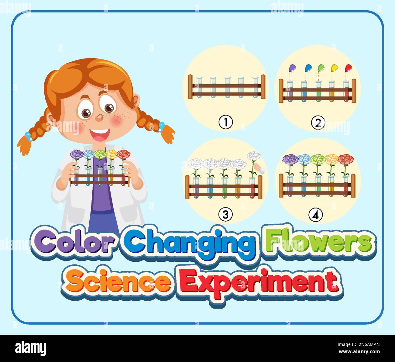 Color Changing Flowers Science Experiment illustration Stock Vector ...