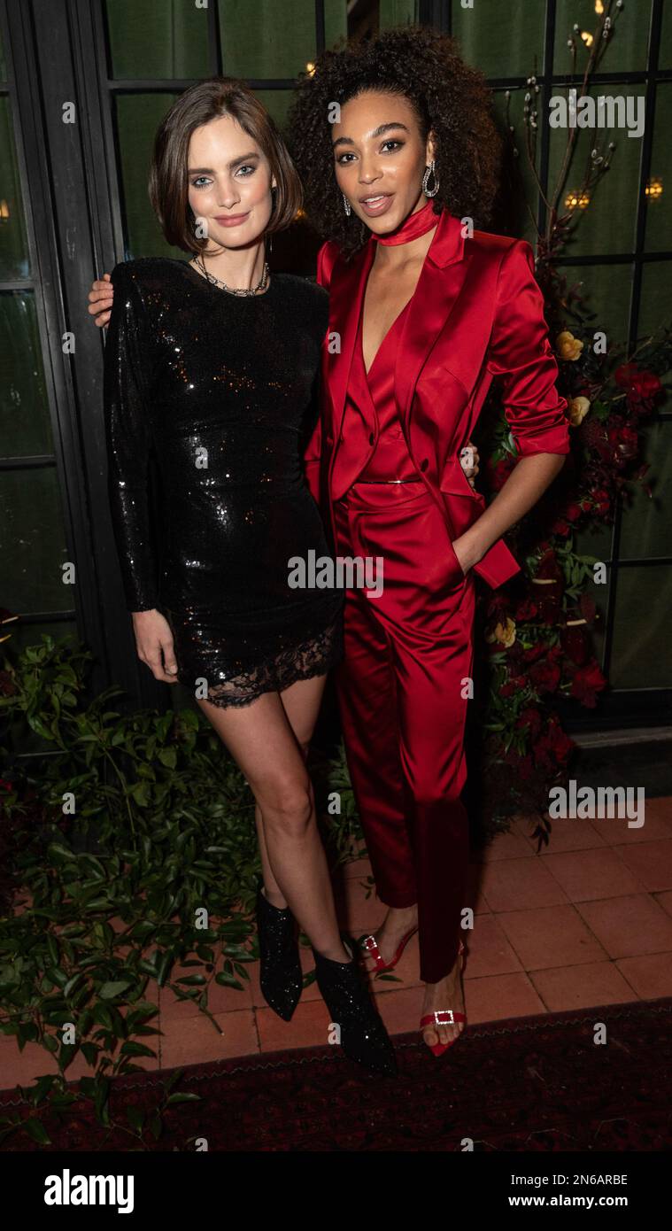 Model poses during presentation by L'Agency during New York Fashion ...