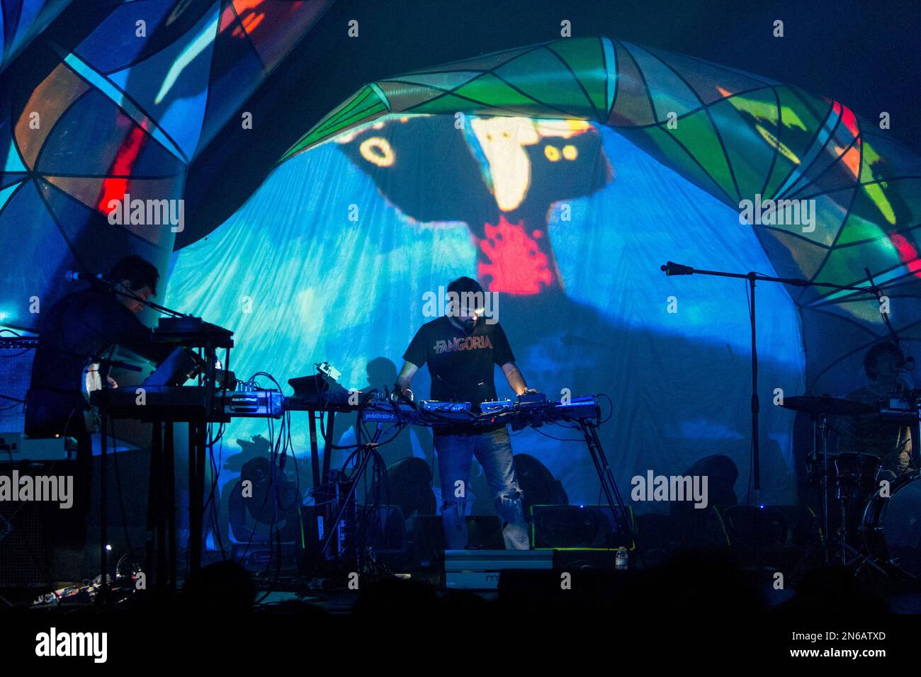 Animal Collective Geologist