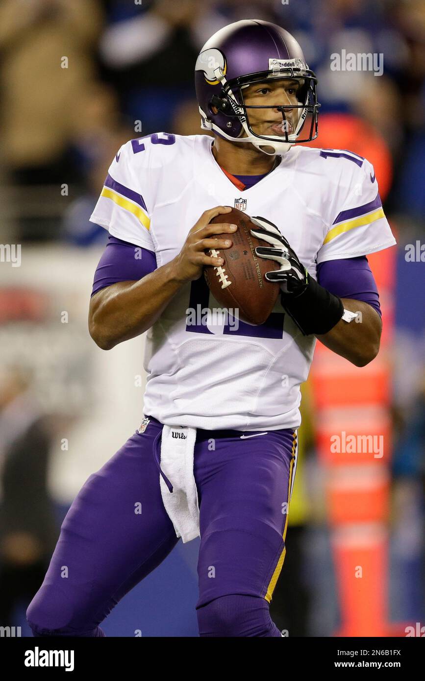 Minnesota Vikings quarterback Josh Freeman (12) throws a pass during ...