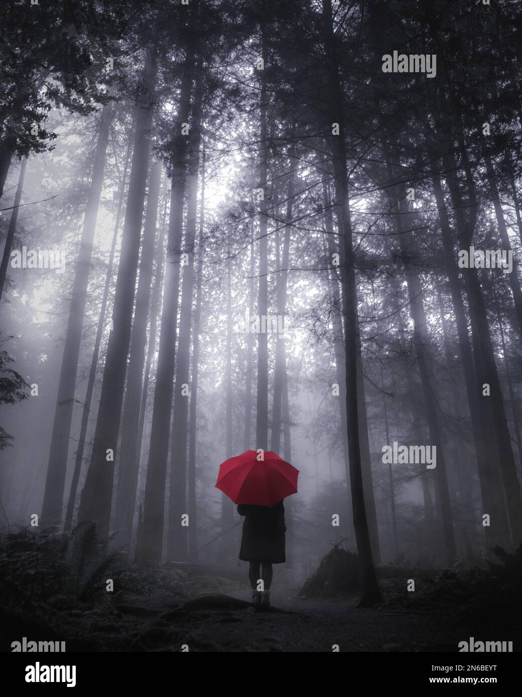 Walking In The Rain Alone Wallpaper