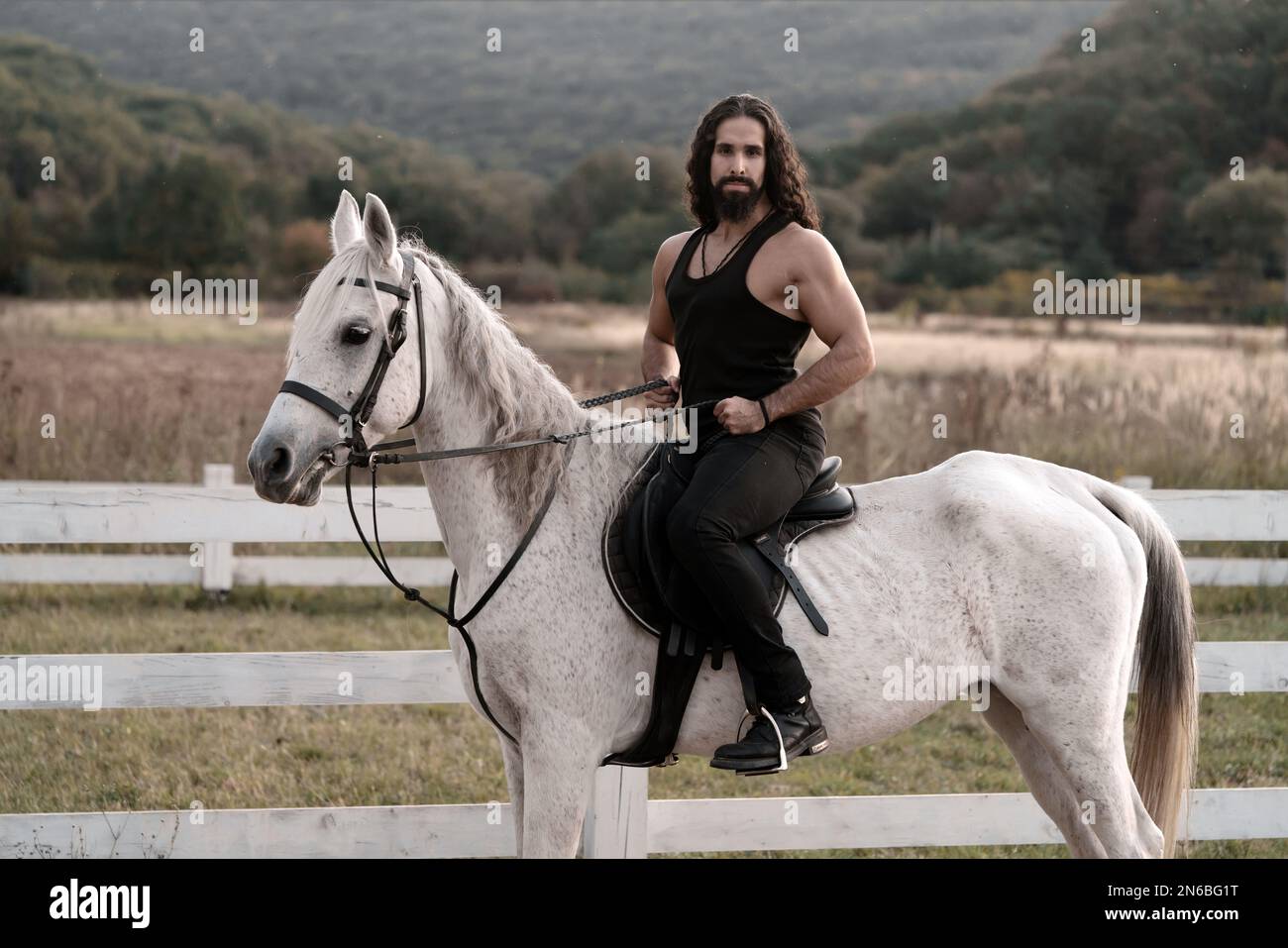 Beautiful horse with man rider trotting on autumnal field. Equestrian ...