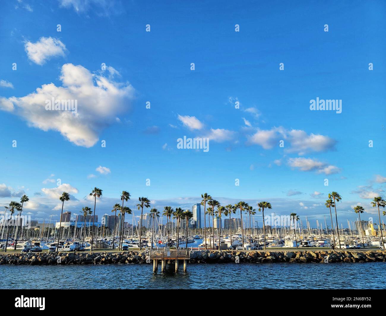An aerial view of Shoreline Marina surrounded by buildings Stock Photo ...