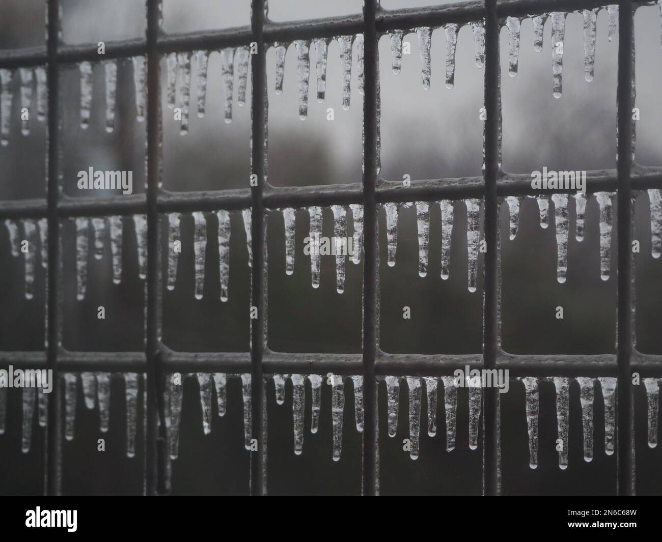 Frozen icicles during the Texas Ice Storm in February 2023 Stock Photo ...