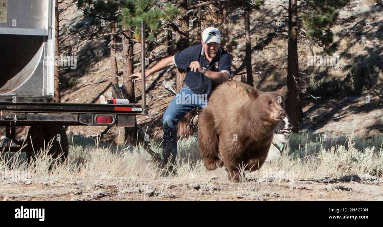 FILE - In this Aug. 9, 2013 photo provided by the Nevada Department of ...