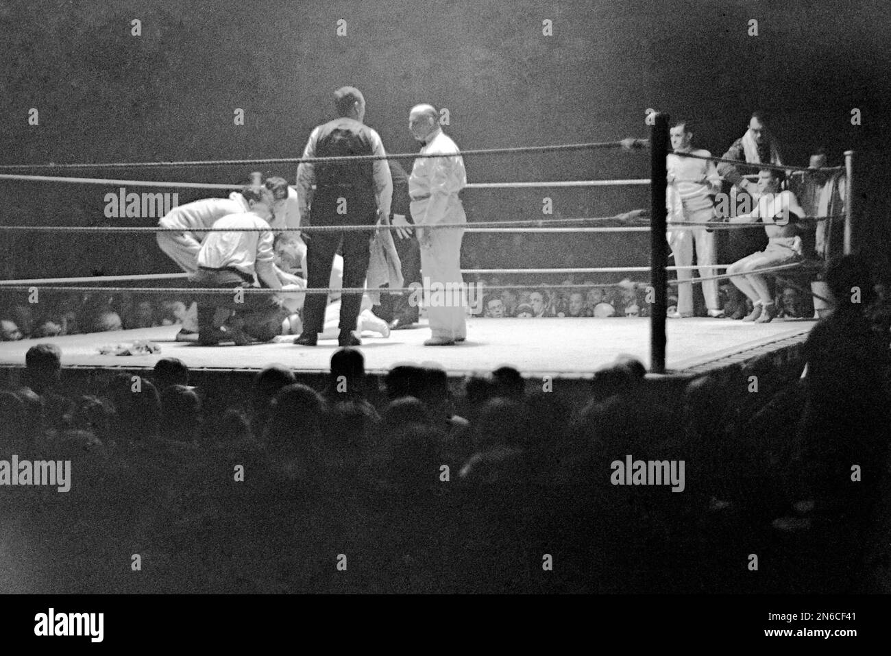 English and European Bantamweight Champion Teddy Baldock kneels on the ...