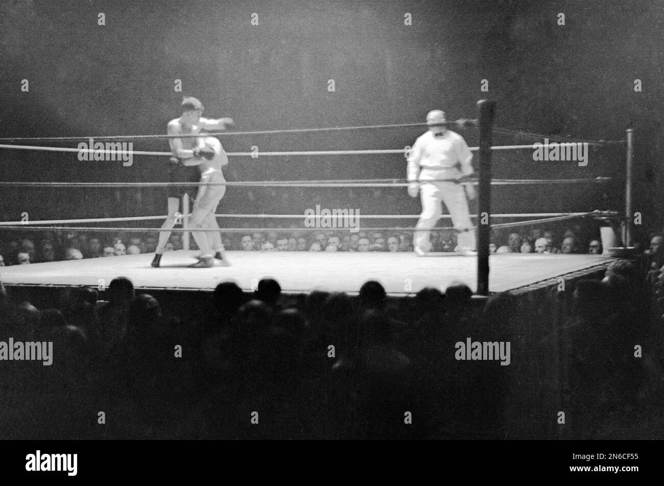 English and European Bantamweight Champion Teddy Baldock, in dark ...