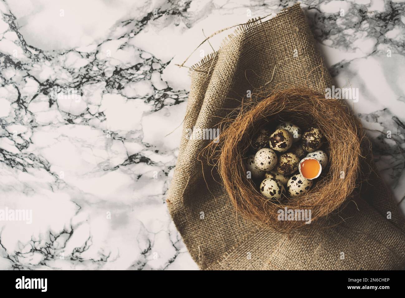 Fresh organic free range quail eggs in bird's nest. Top view close up ...