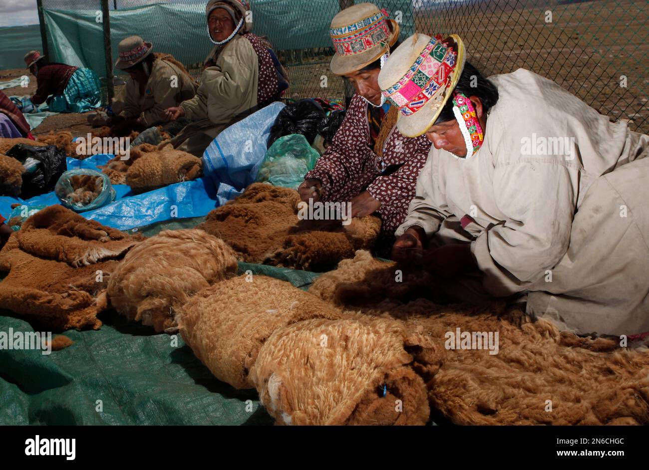 In this Oct. 7, 2013 photo, Aymara Indian women clean freshly sheared ...