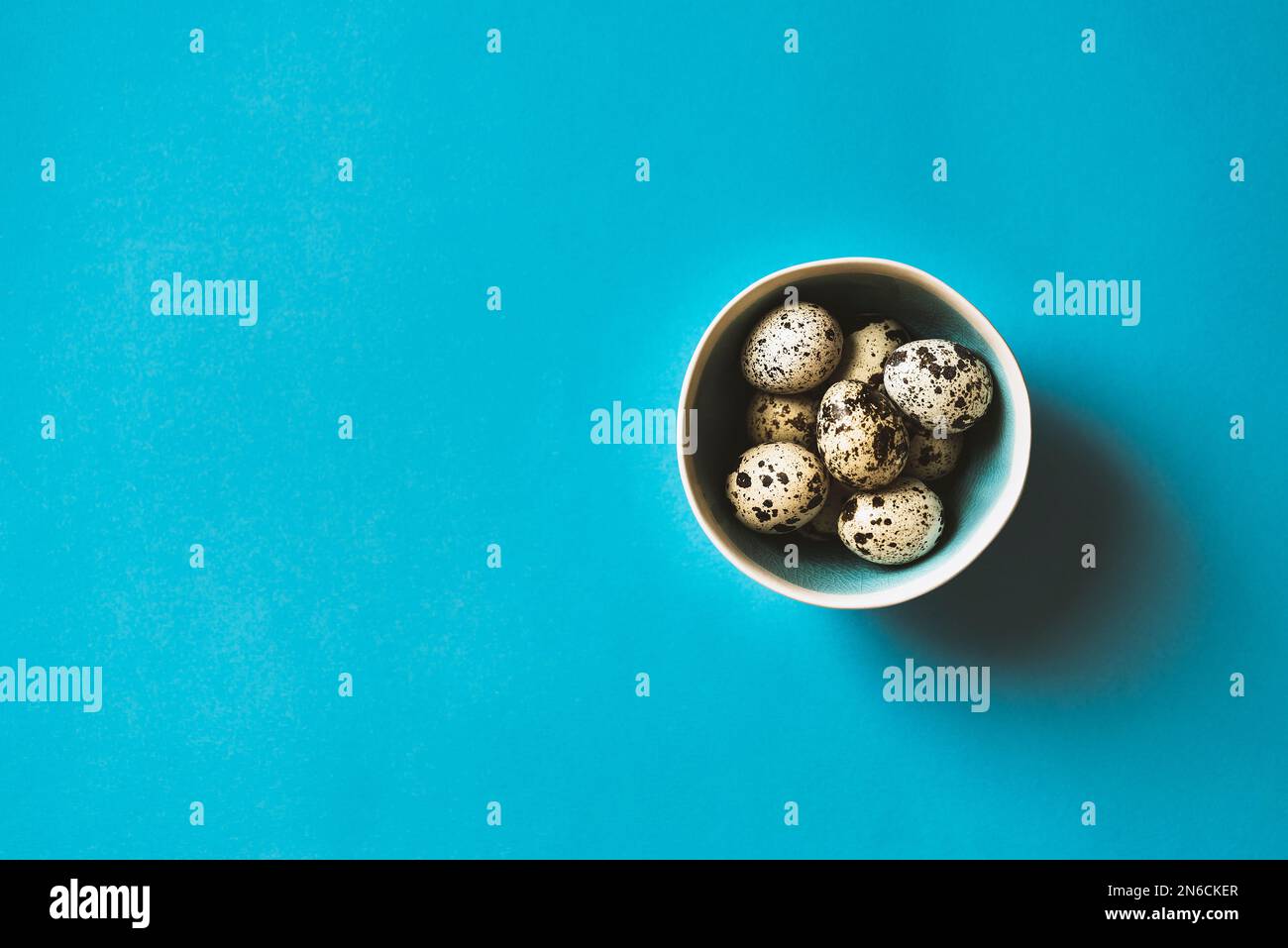 Quail eggs on neon blue background. Table top shot Stock Photo - Alamy