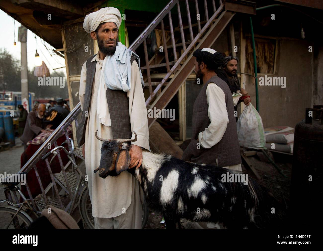 An Afghan man attends to his goat at a livestock market set up for the ...