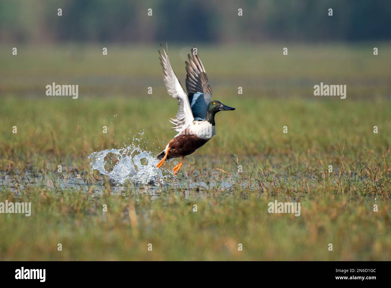 Selective focus motion movement hi-res stock photography and images - Alamy