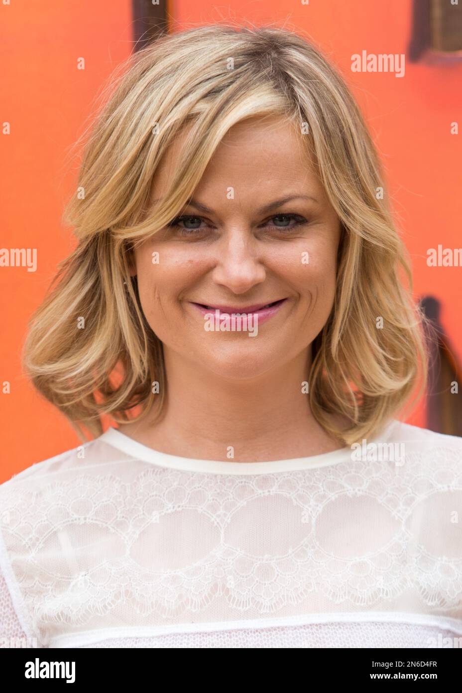 Actress Amy Poehler arrives at the world premiere of "Free Birds" at ...