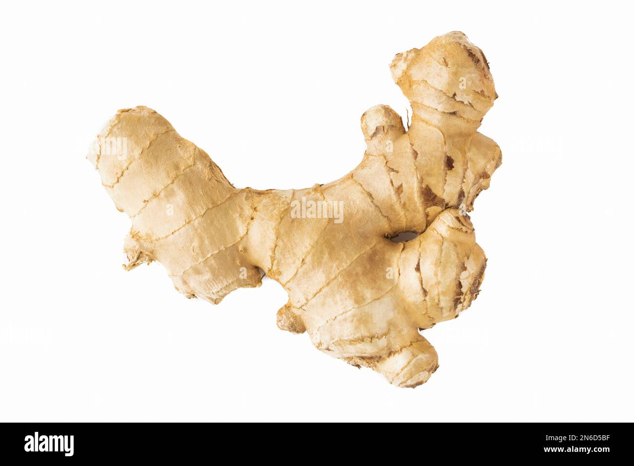 Fresh ginger on white background, herb medical concept. Chinese common ...