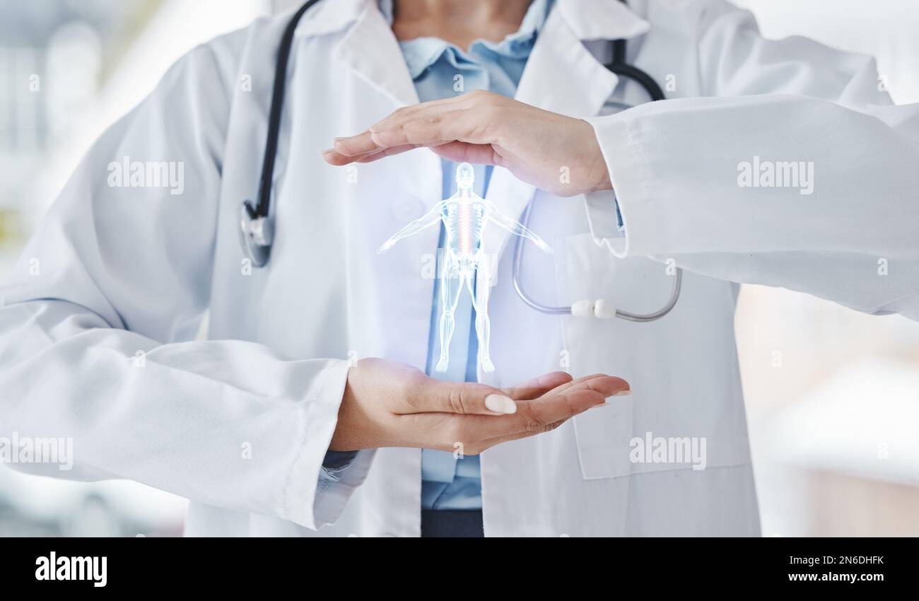 Hologram, medical and doctor with digital anatomy, skeleton and ...