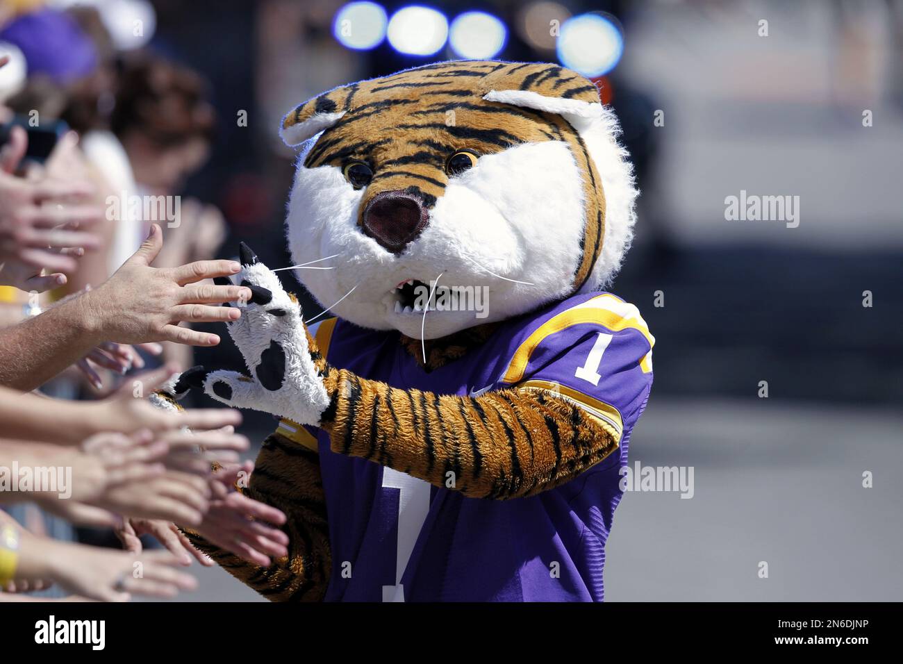 The LSU mascot Mike the Tiger greets fans before an NCAA college ...