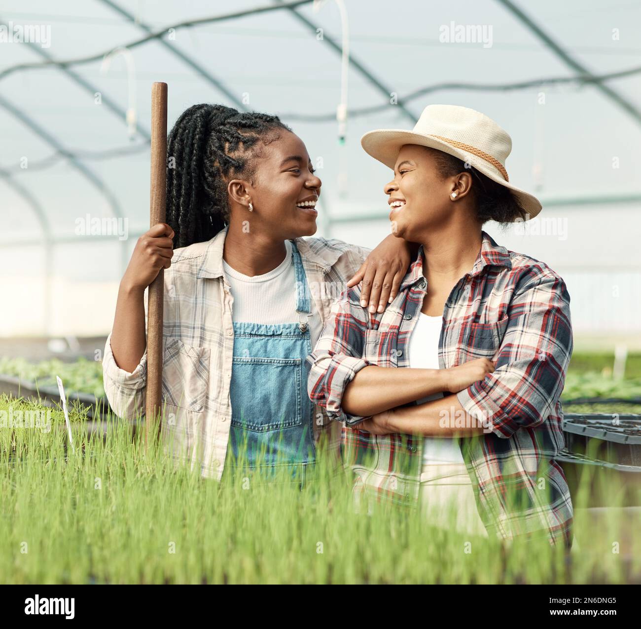 Happy farmers laughing and talking. Cheerful farmers working together ...