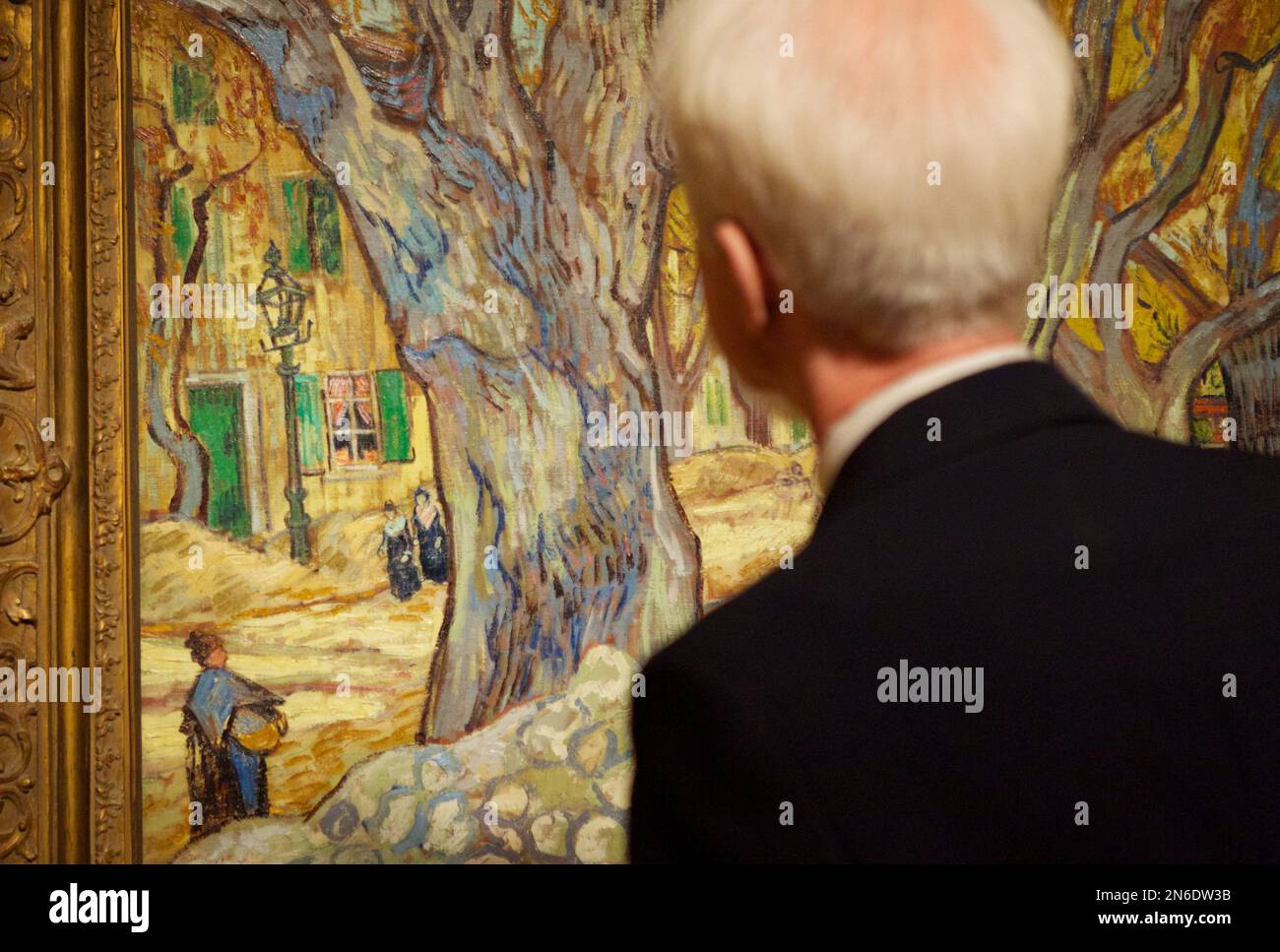 A visitor looks at Vincent van Gogh's "The Large Plane Trees," on ...