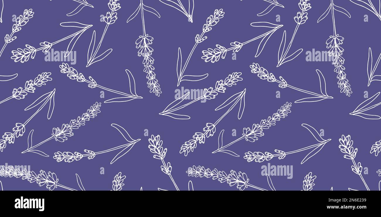 violet color lavender flower vector seamless texture background Stock ...