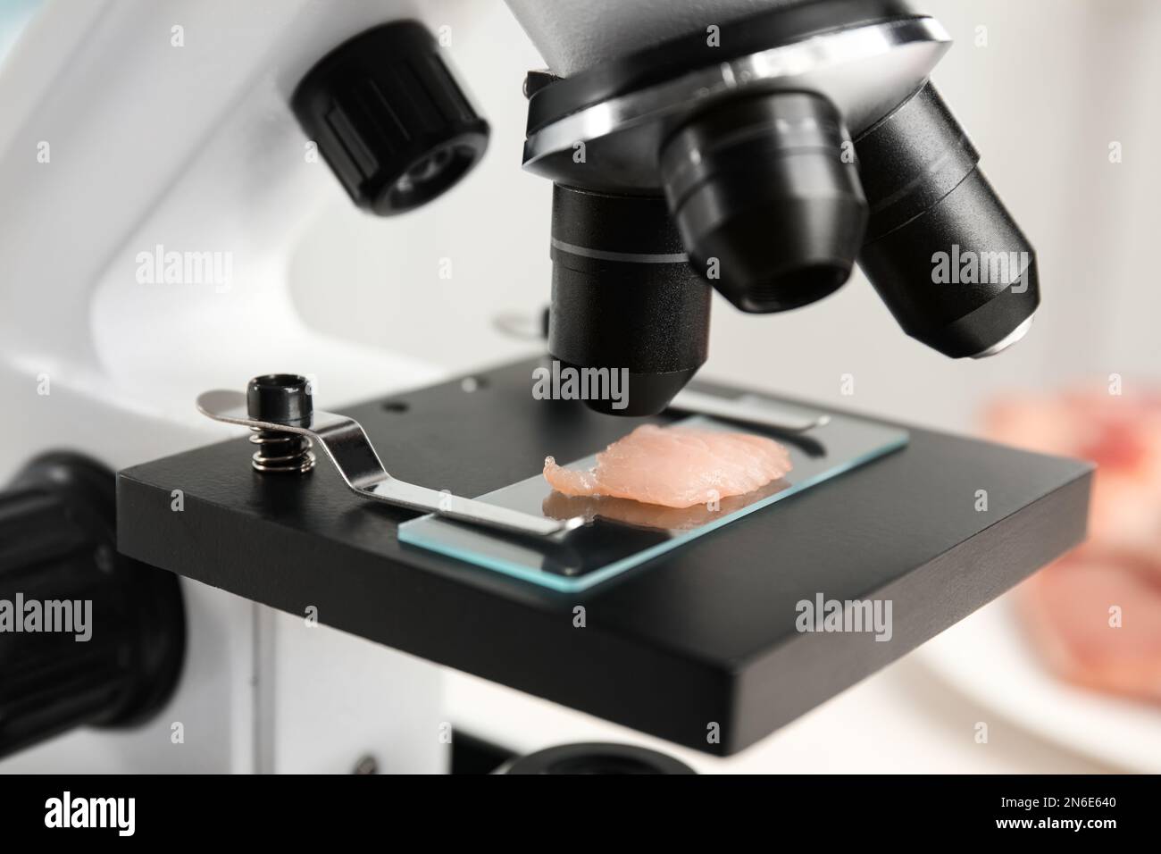 Slide with meat sample on microscope in laboratory, closeup. Poison ...