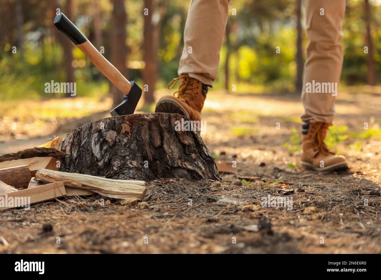 Solid wood legs hi-res stock photography and images - Alamy