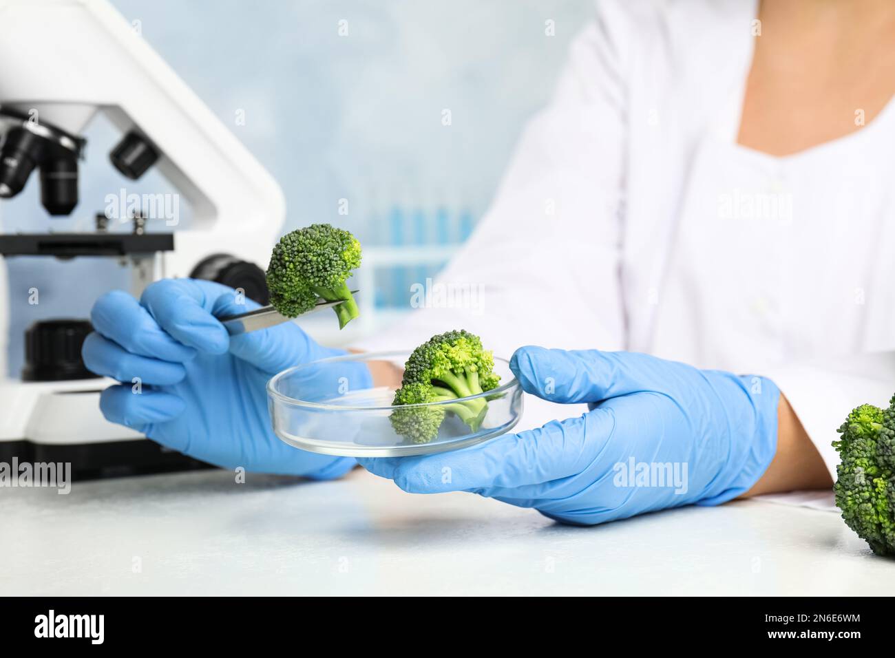 Scientist with broccoli at table in laboratory, closeup. Poison ...