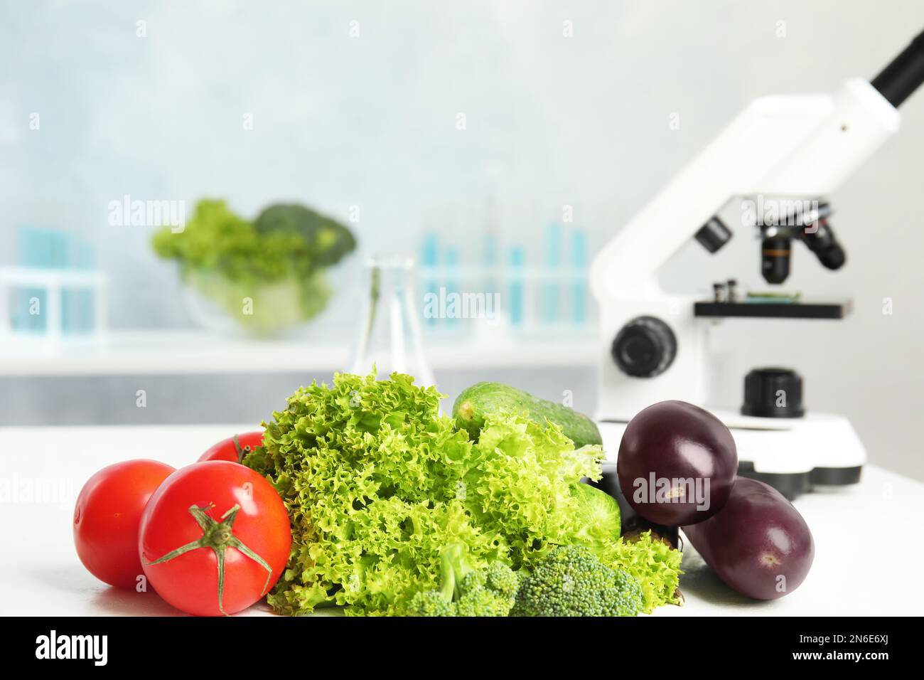Different fresh vegetables on table in laboratory, space for text ...
