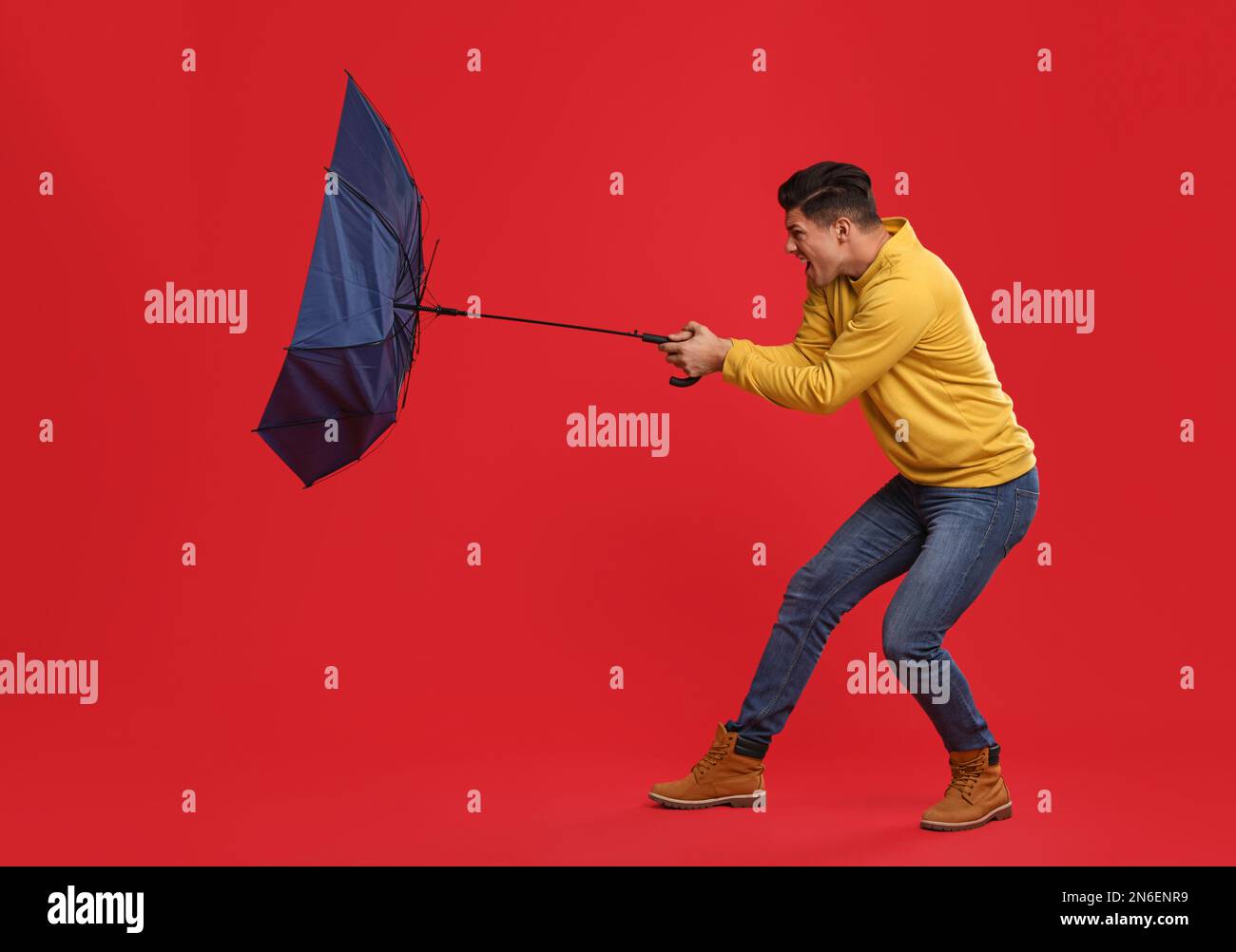 Emotional man with umbrella caught in gust of wind on red background ...