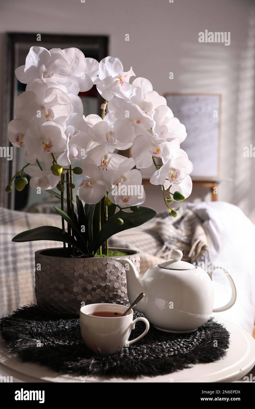 Beautiful white orchids and tea set on table in room Stock Photo - Alamy