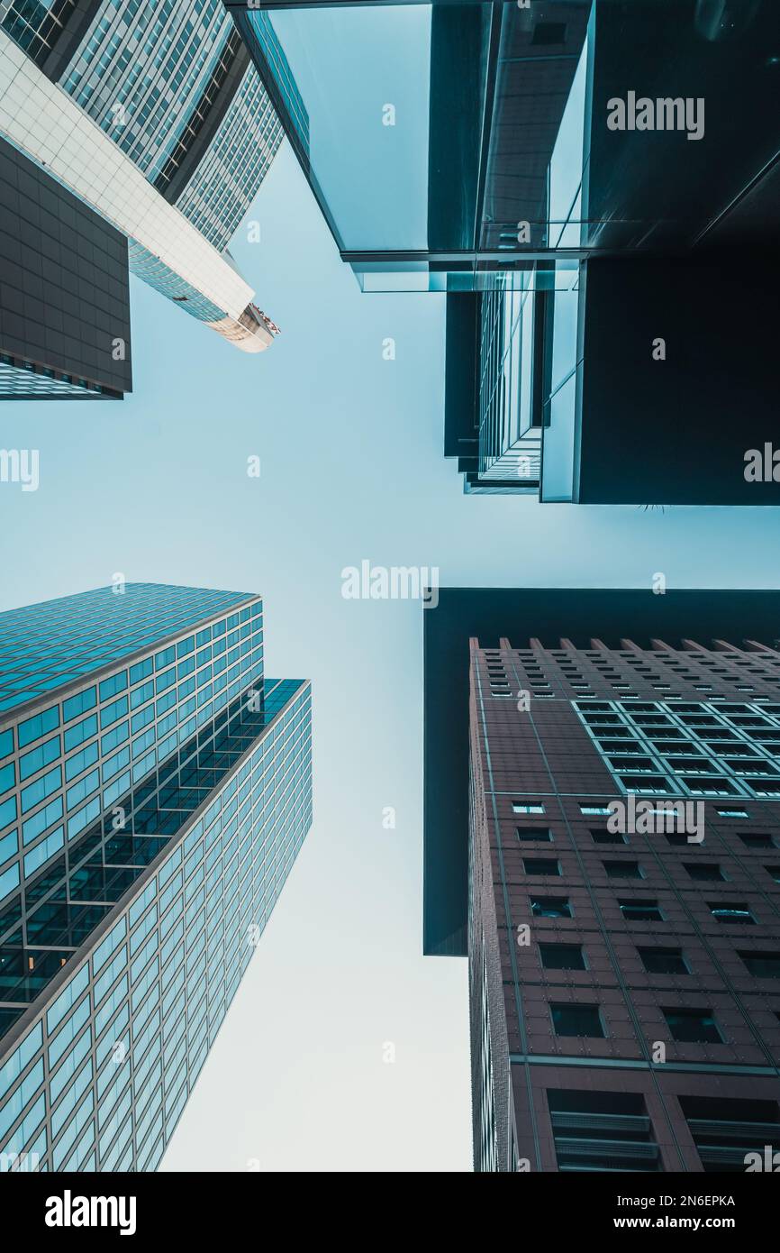 Modern skyscrapers seen from below. Vertical. Blue colors. Buildings ...