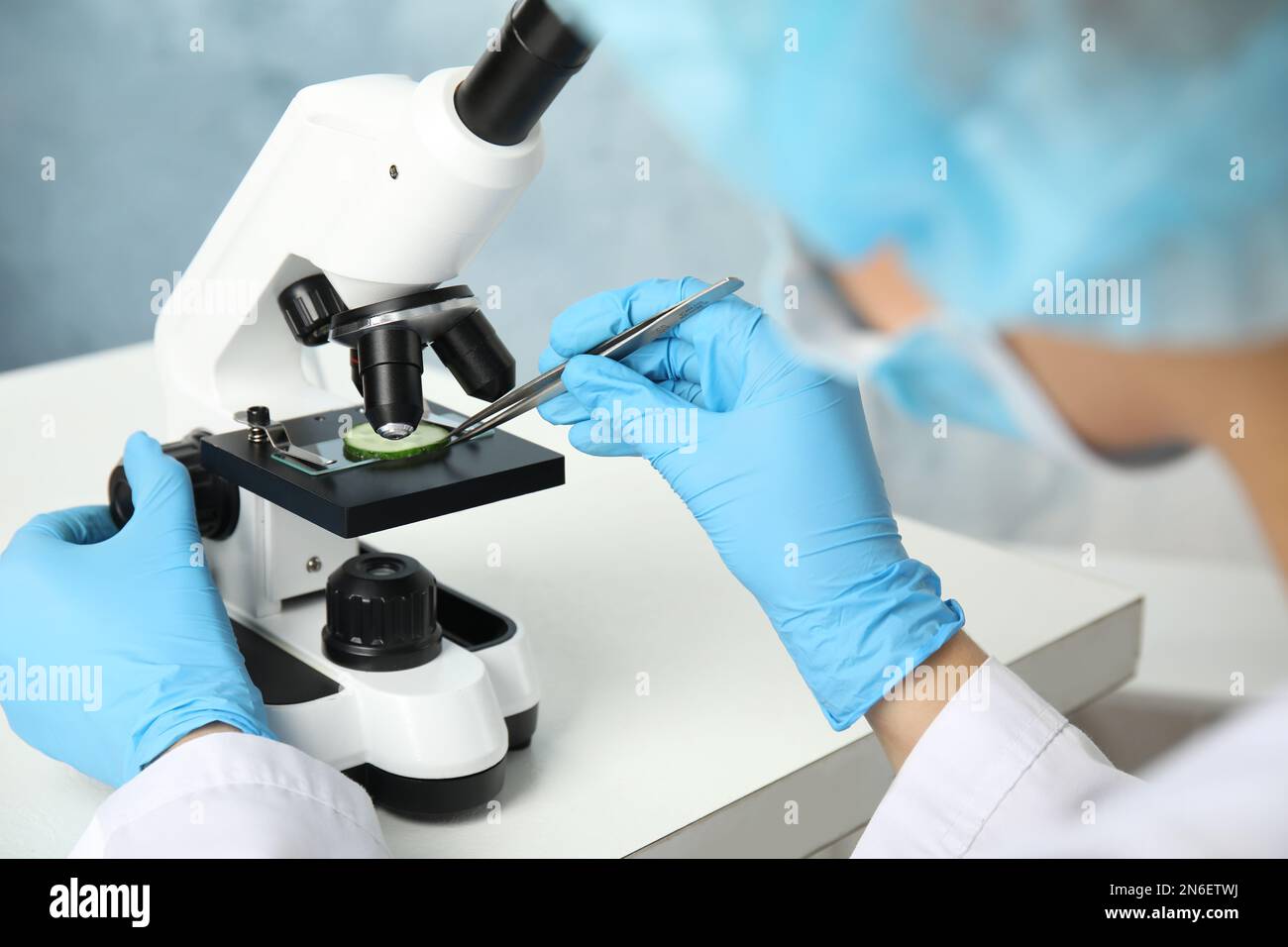Scientist Inspecting Slice Of Cucumber With Microscope In Laboratory