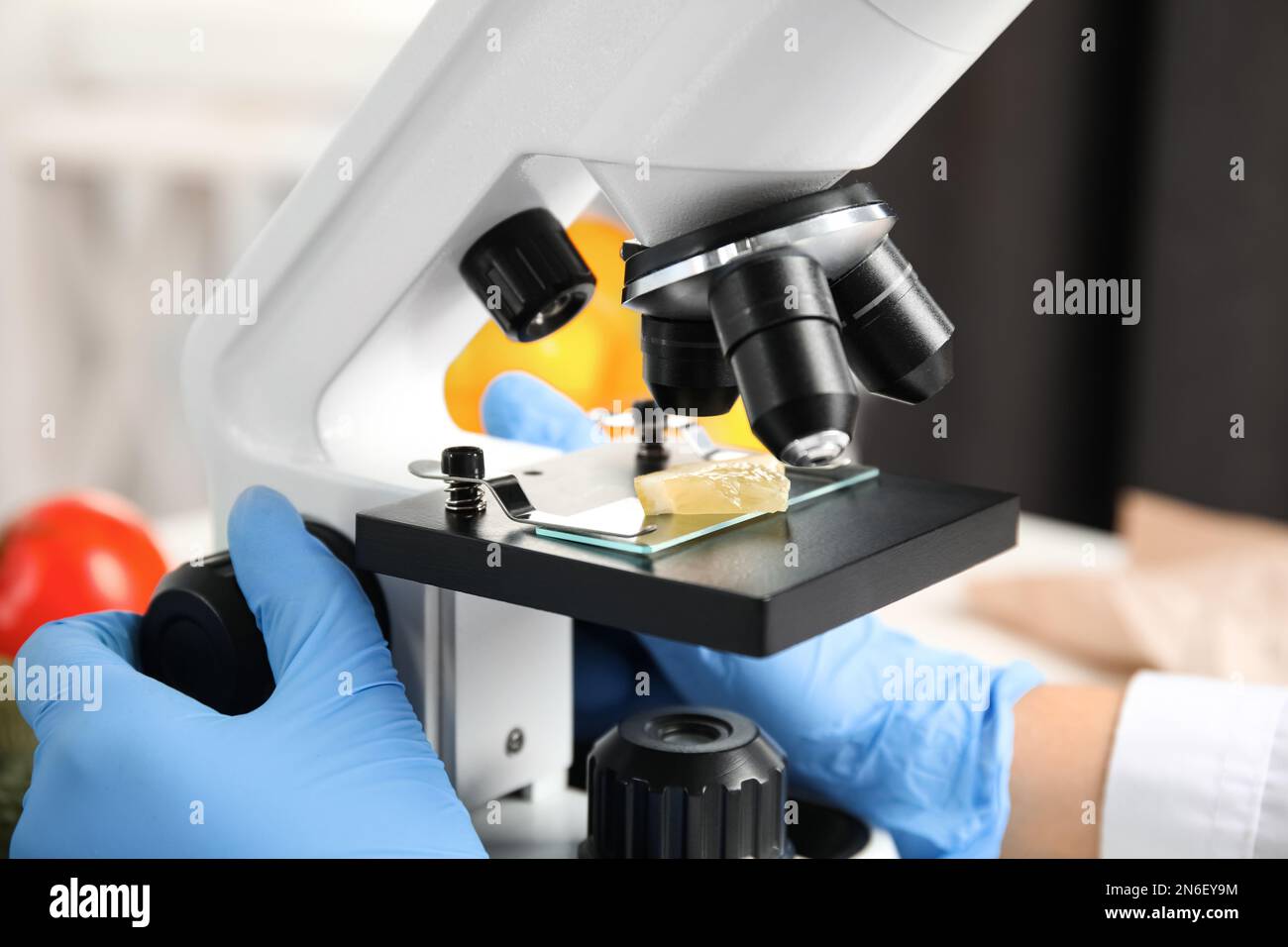 Scientist inspecting slice of lemon with microscope in laboratory ...
