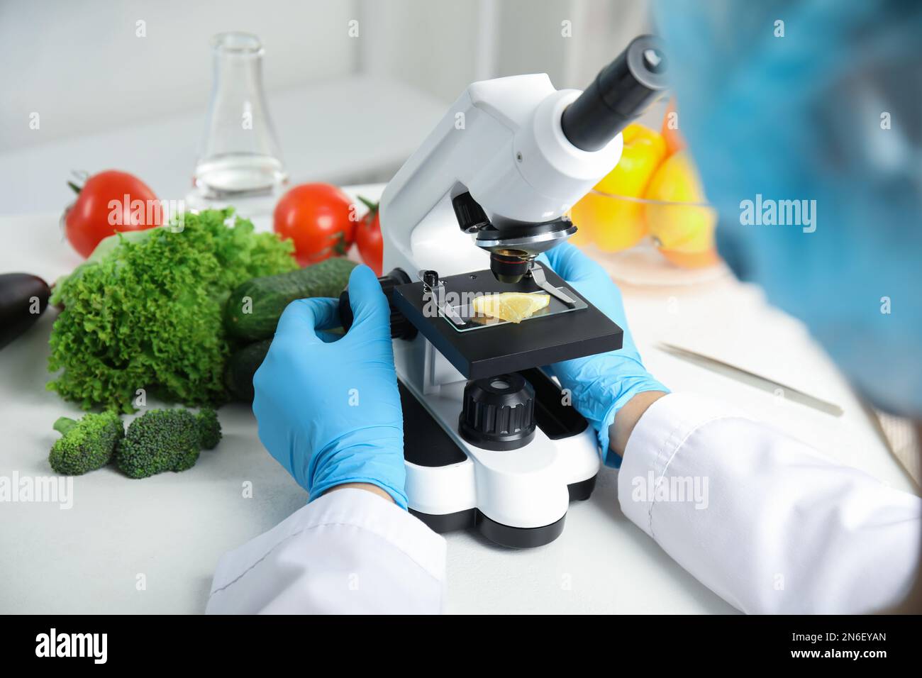 Scientist inspecting slice of lemon with microscope in laboratory ...