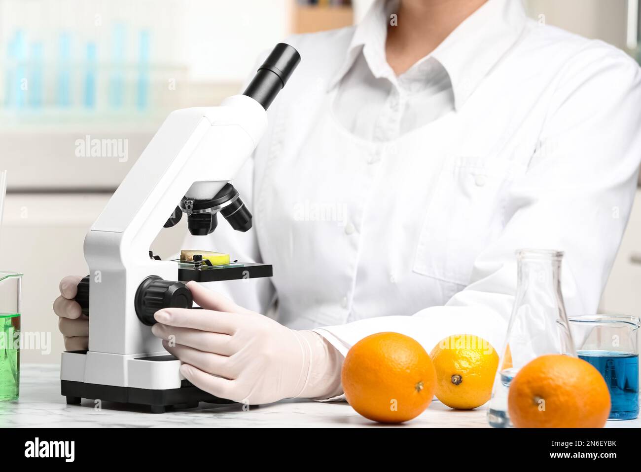 Scientist inspecting slice of apple with microscope in laboratory ...