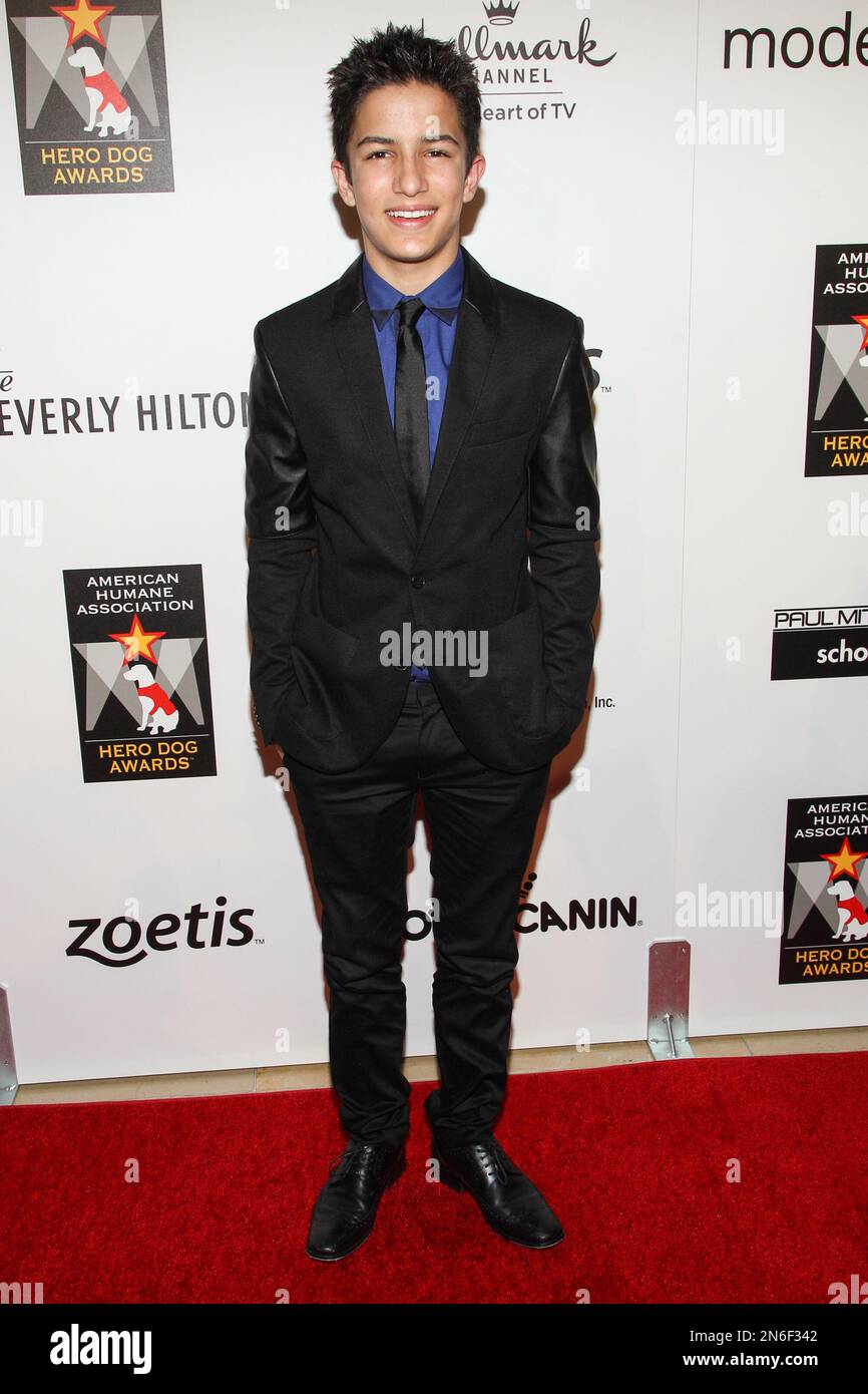 Actor Aramis Knight arrives at the 3rd Annual American Humane ...