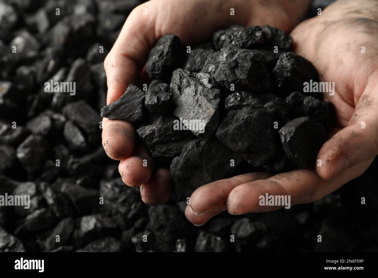 Man holding coal in hands over pile, closeup Stock Photo - Alamy