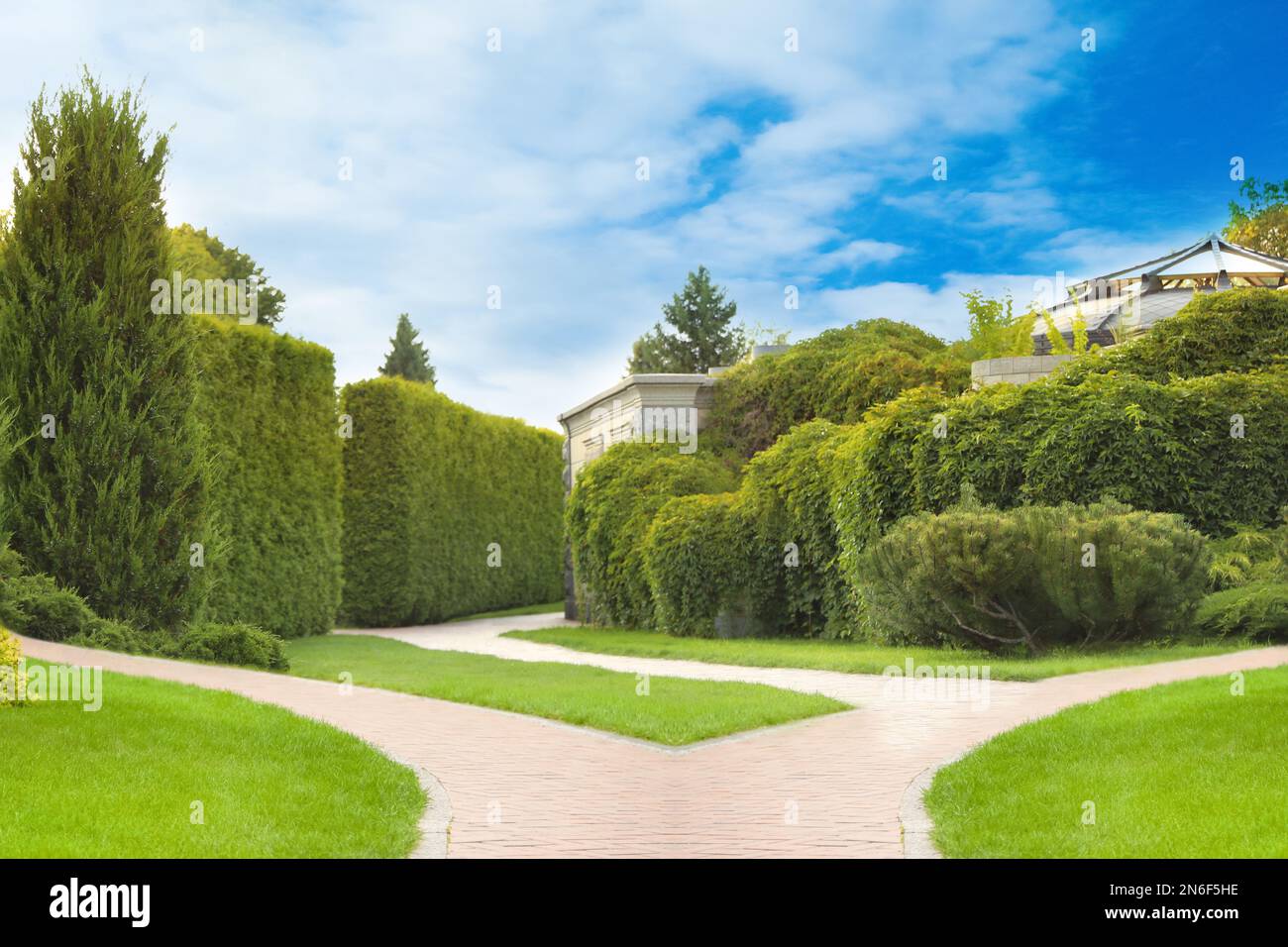 Choosing right path success hi-res stock photography and images - Alamy