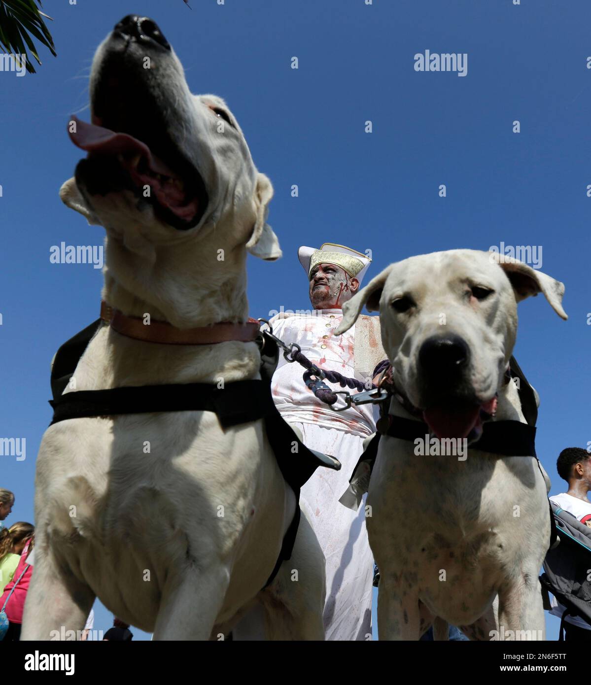 Paul Kurtz, of Brick, N.J., center, walks with his dogo argentino dogs ...