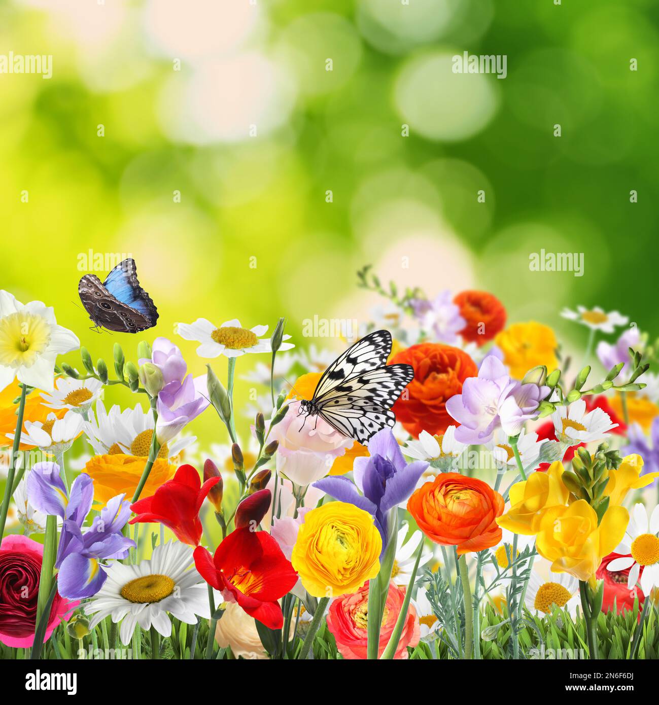 Beautiful group many defocused hi-res stock photography and images - Alamy