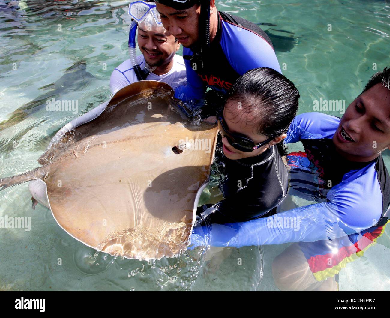 A Filipino disabled child is assisted by trainers to touch and feel a ...