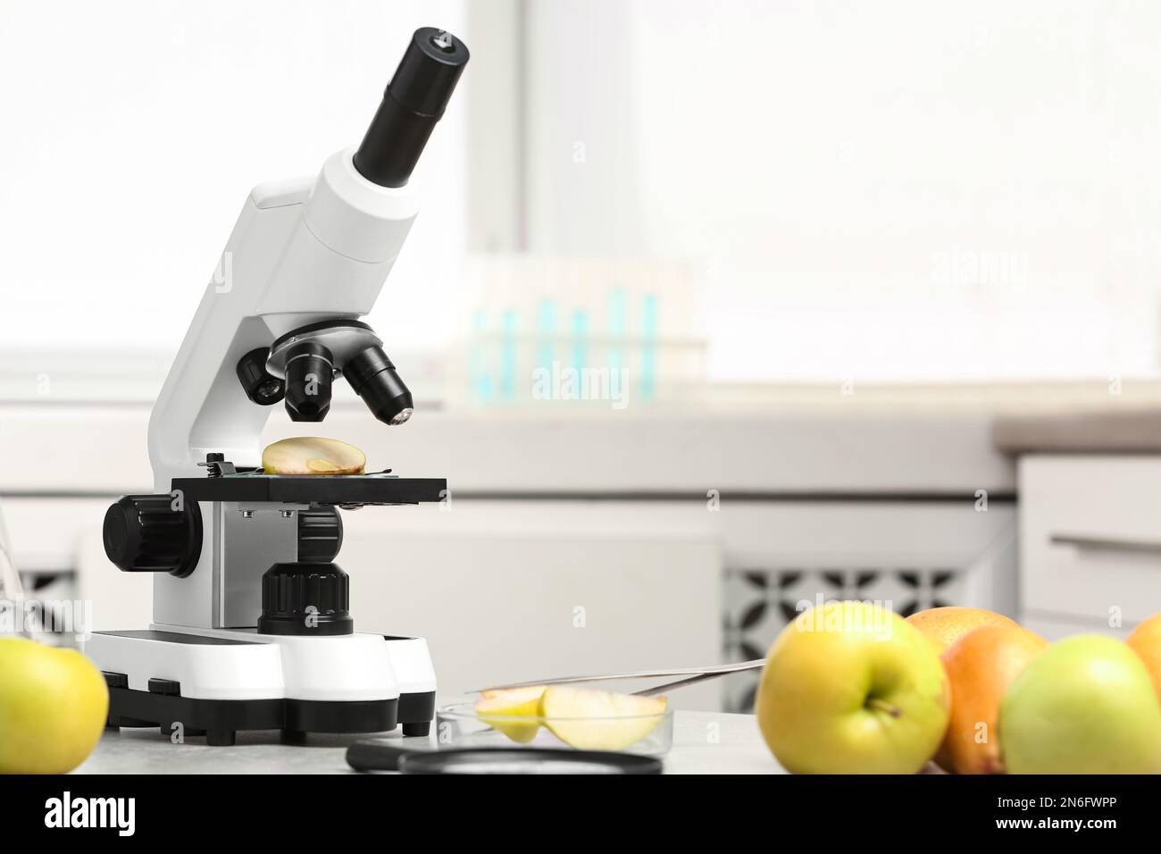 Microscope with slice of apple on table in laboratory, space for text ...