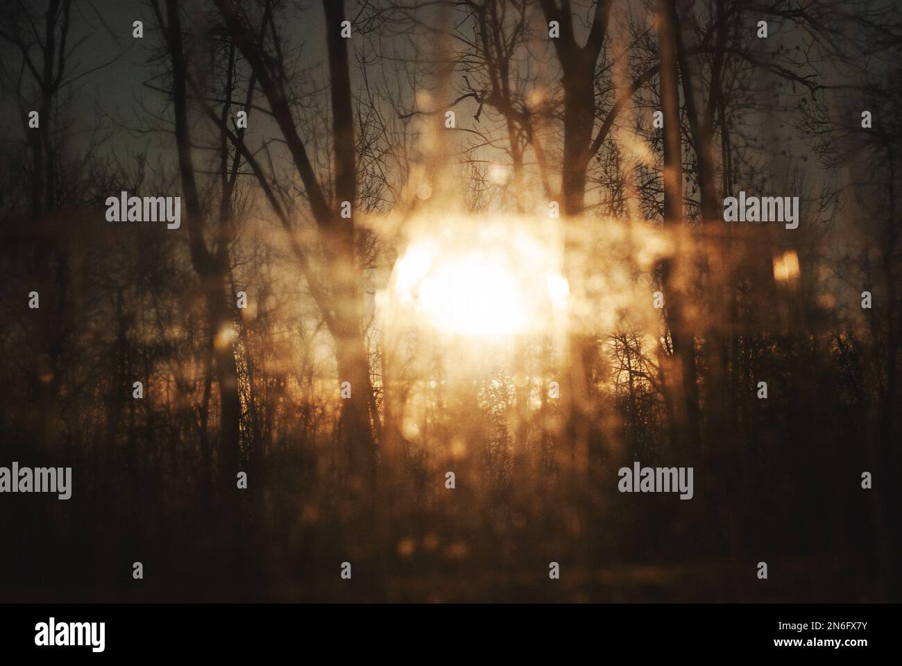 Sunlight through glass doors hi-res stock photography and images - Alamy