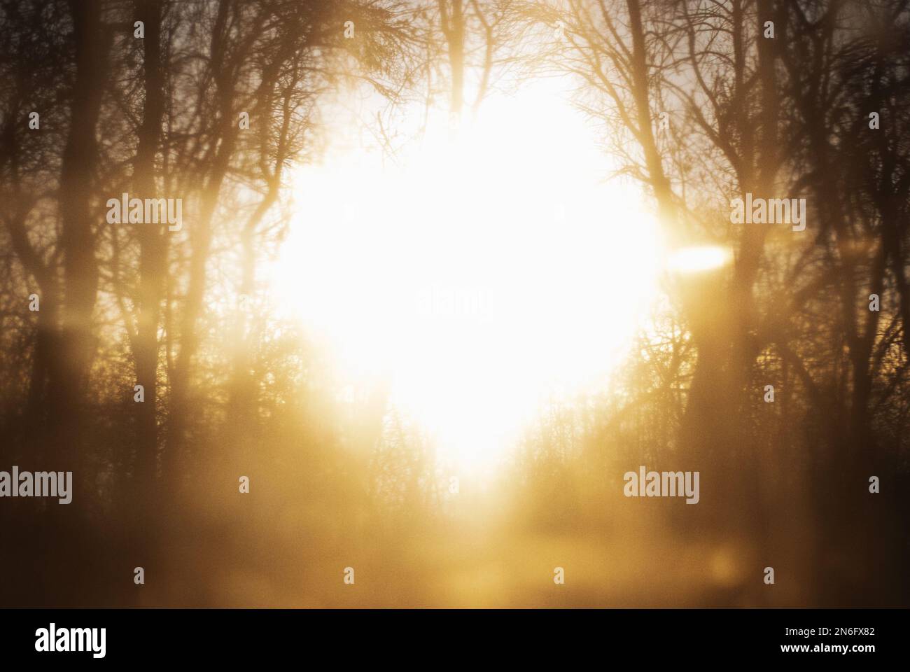 Sunlight through glass doors hi-res stock photography and images - Alamy