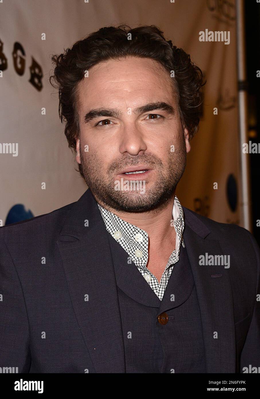 Actor Johnny Galecki arrives on the red carpet at the West Coast ...