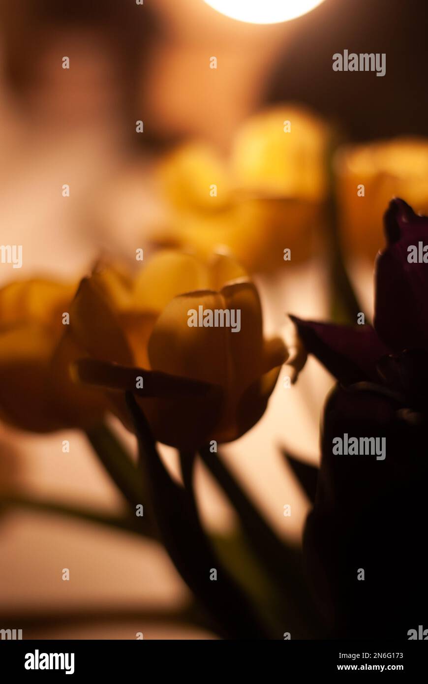 Lamp on in a room hi-res stock photography and images - Alamy