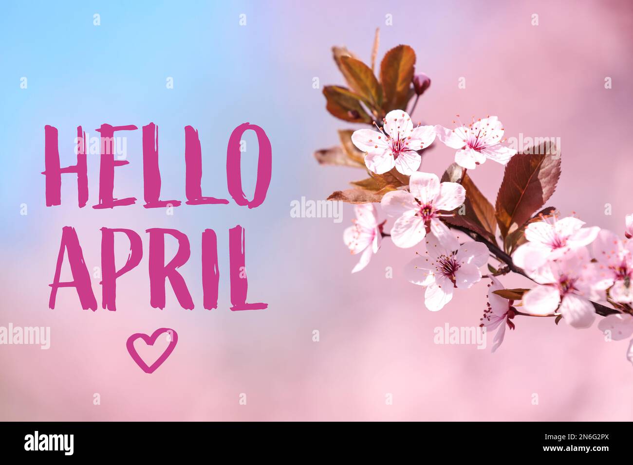 Hello april text on hi-res stock photography and images - Alamy